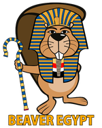 Beaver Egypt
