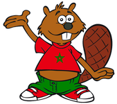 Castor Informatique Maroc